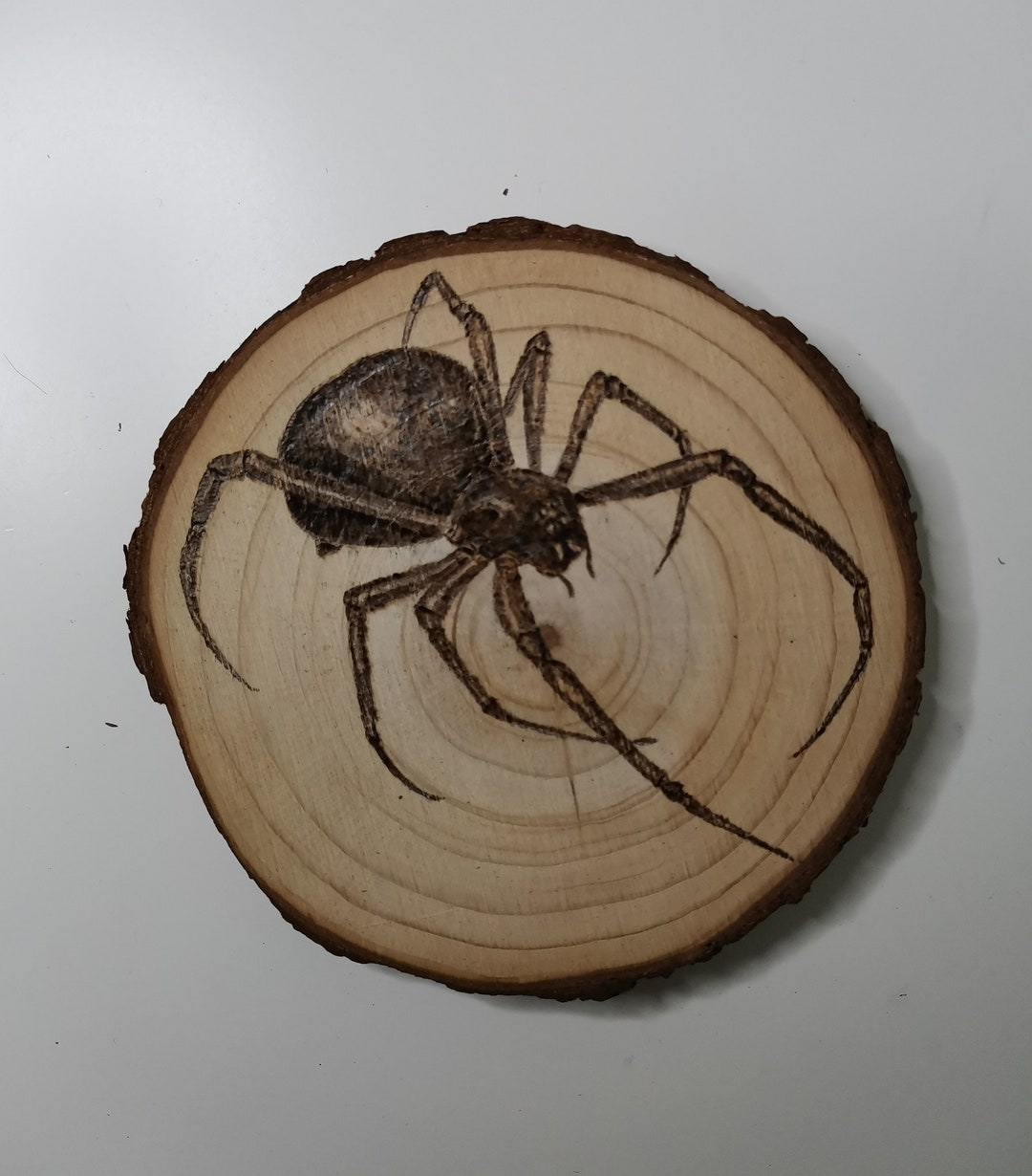 Pyrography Spider Coaster Plaque Art Gift Wood Burning - Etsy UK