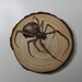 Pyrography Spider Coaster Plaque Art Gift Wood Burning - Etsy UK