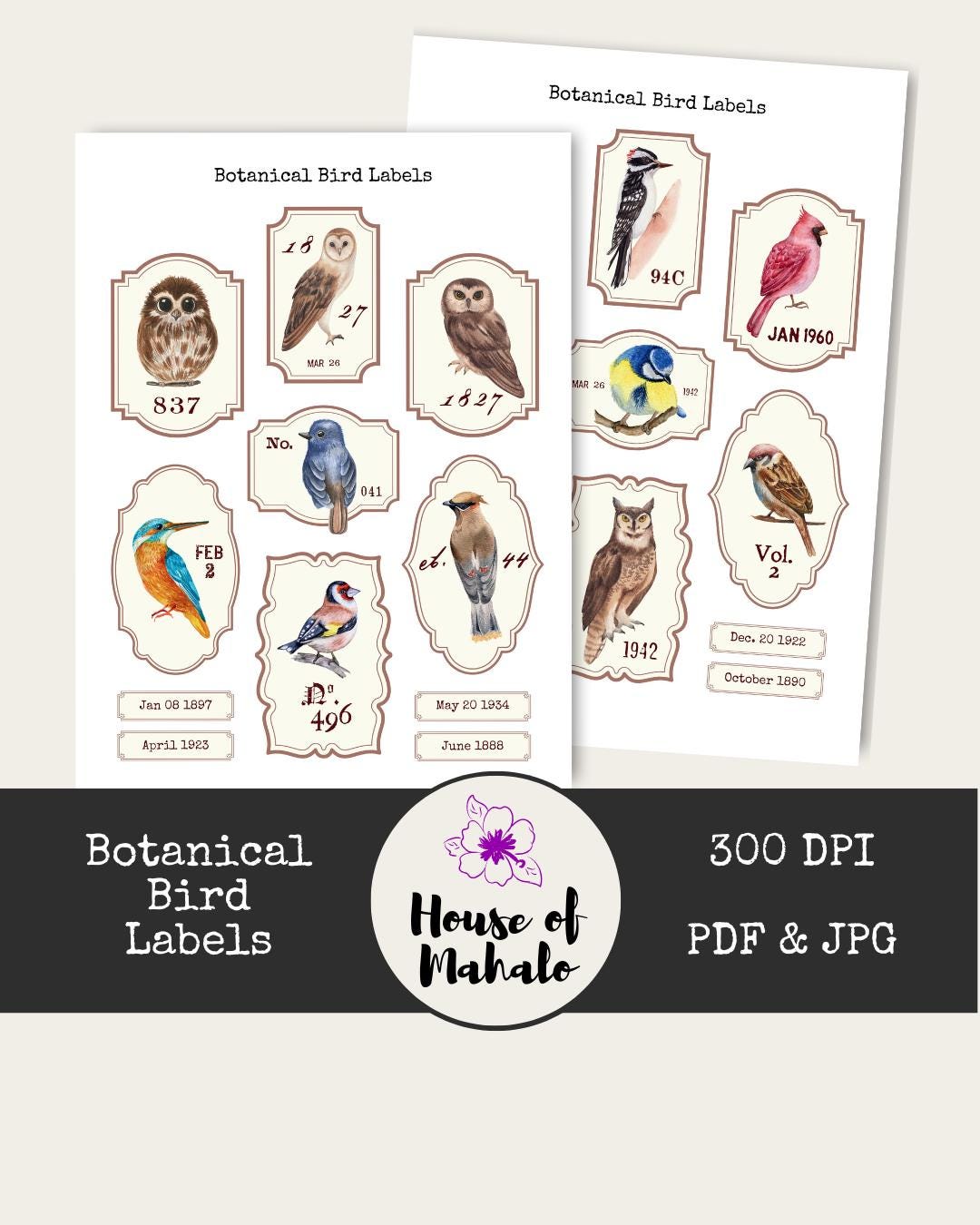 Printable Bird Ephemera: Botanical Bird Labels (digital Download) - Etsy