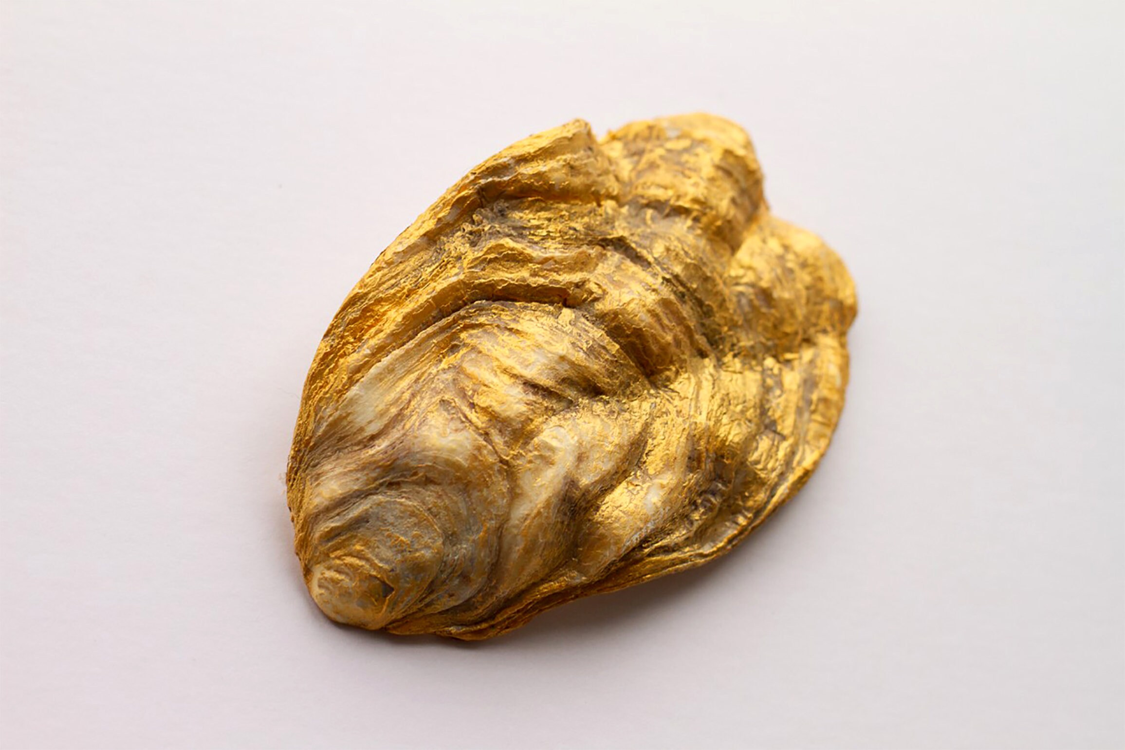 Plato de baratija de concha de ostra / Diseño de pájaro tit azul ...