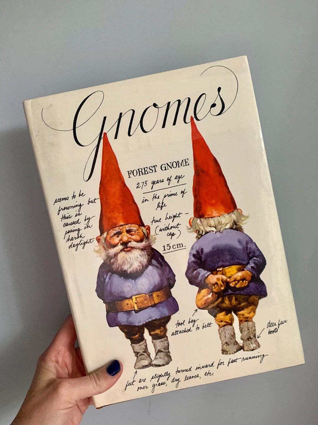 Vintage Copy Gnomes by Poortvliet & Huygen 1979 North American - Etsy
