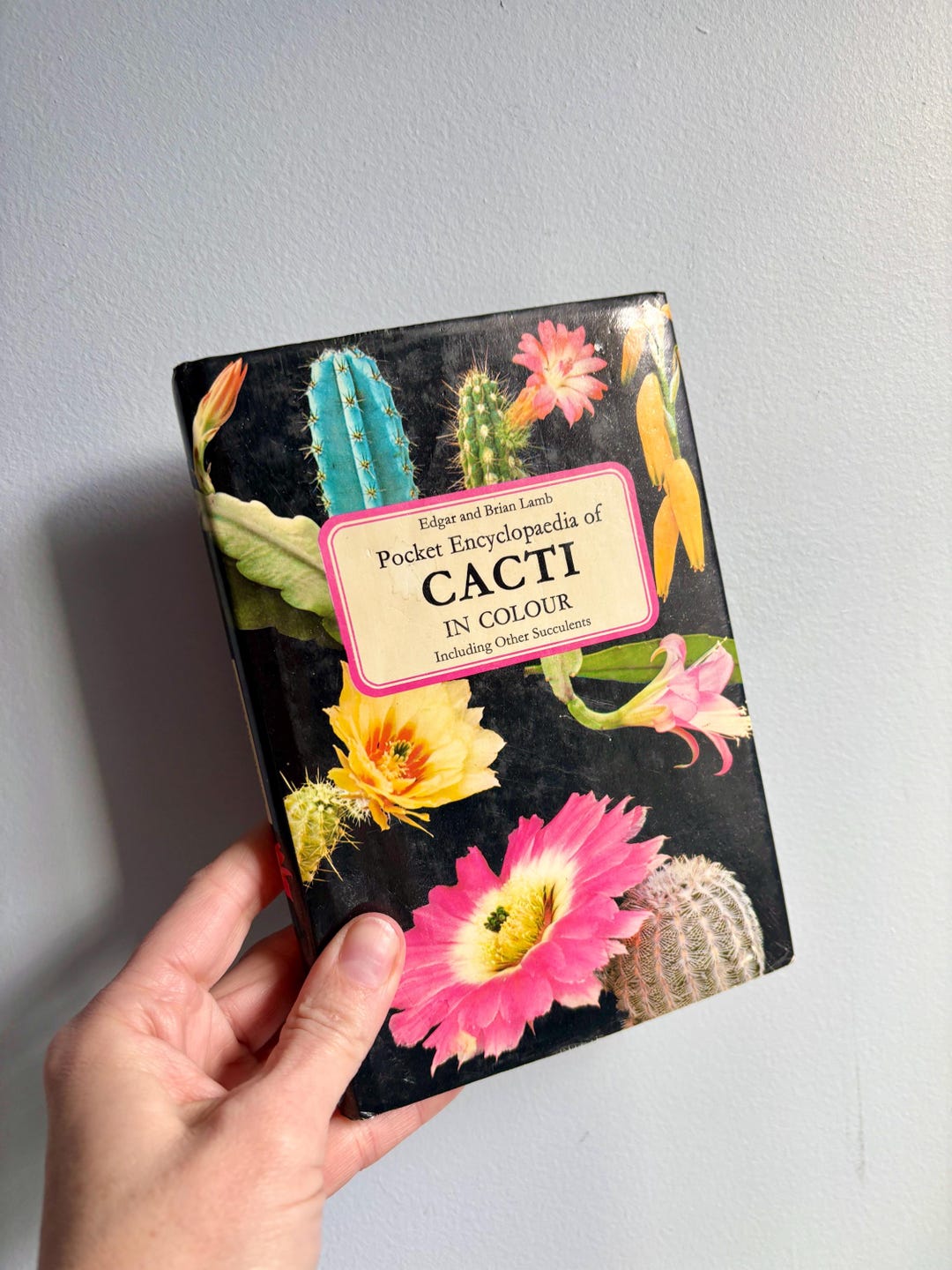 Vintage Encyclopaedia of Cacti in Colour / 70s Cactus Book How to Grow ...