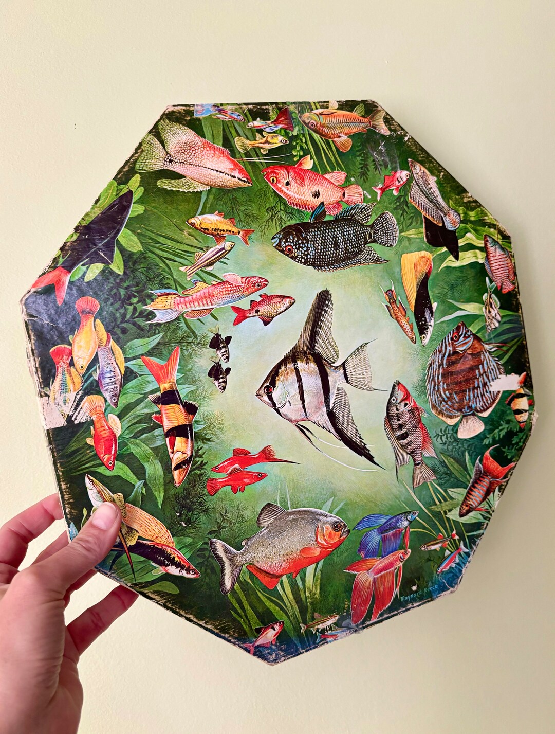 Vintage Okta-puzzle Tropical Fish by Maynard Reece / 1967 Octagon Shape ...