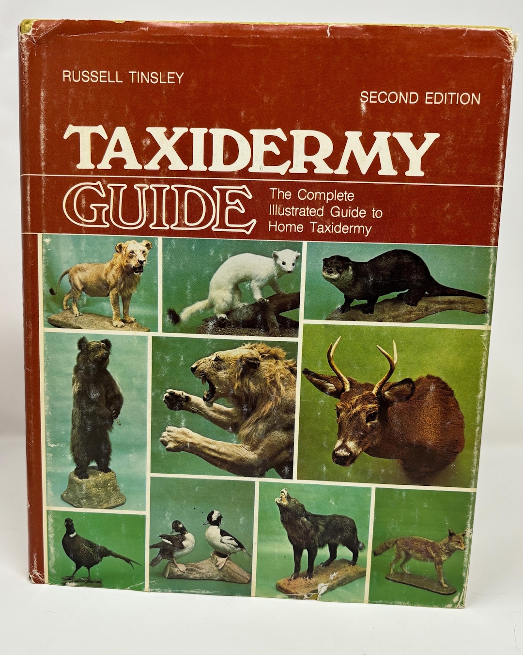 Vintage Taxidermy Guide Hardcover Book / Vtg Book at Home Taxidermy ...