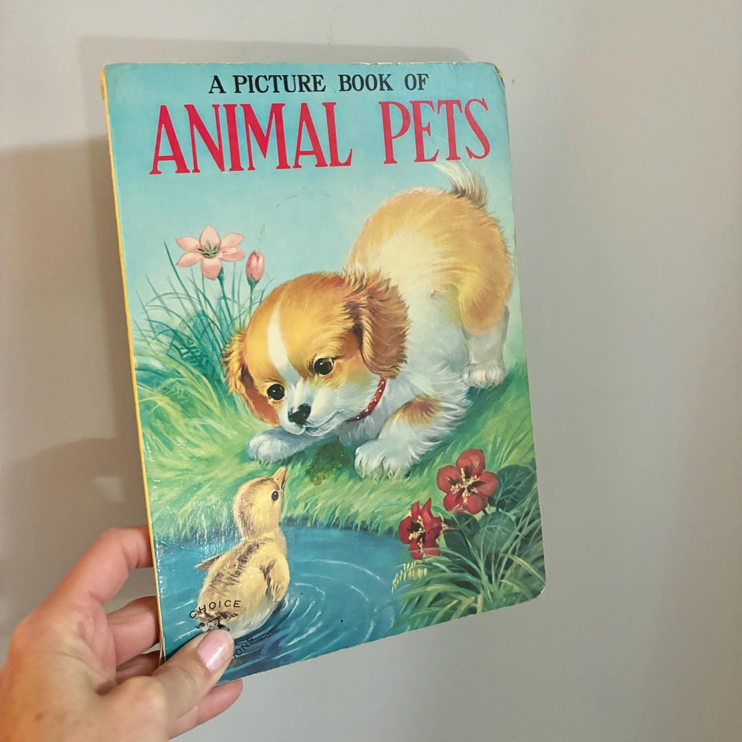 Vintage Animal Pet Board Book / 1970s Toddler Book of Animals Board ...