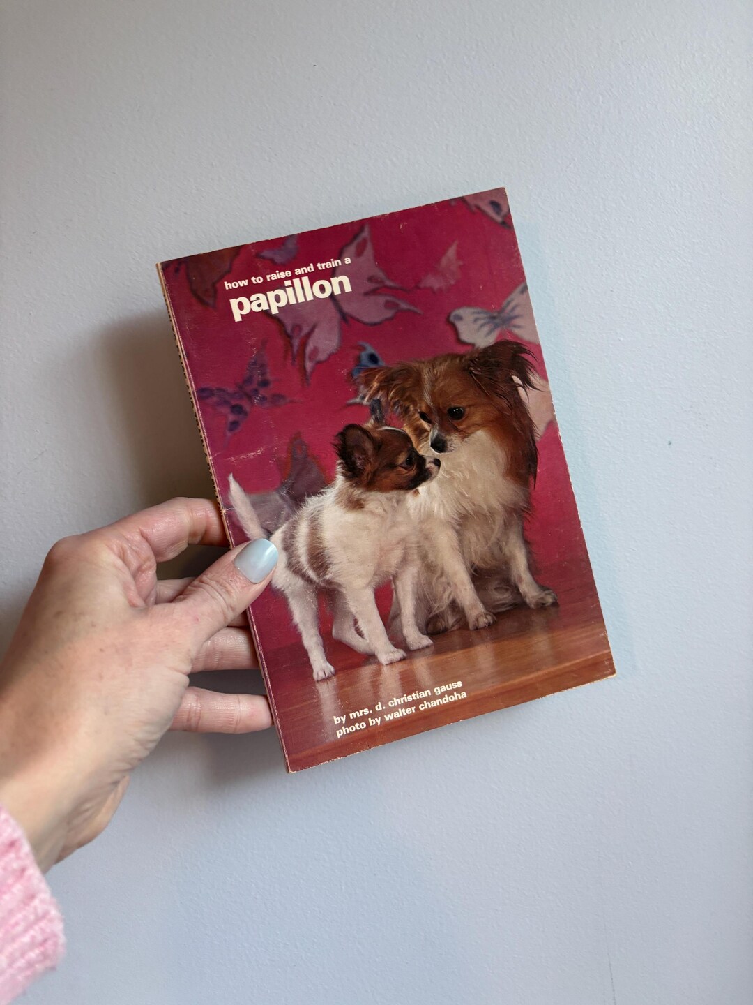Vintage Papillon Book /vtg Papillon Breed Guidebook Softcover Book ...