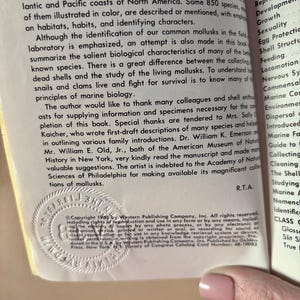 Vintage Seashell Identification Book / Vtg Seashell Guide Book 1960s ...