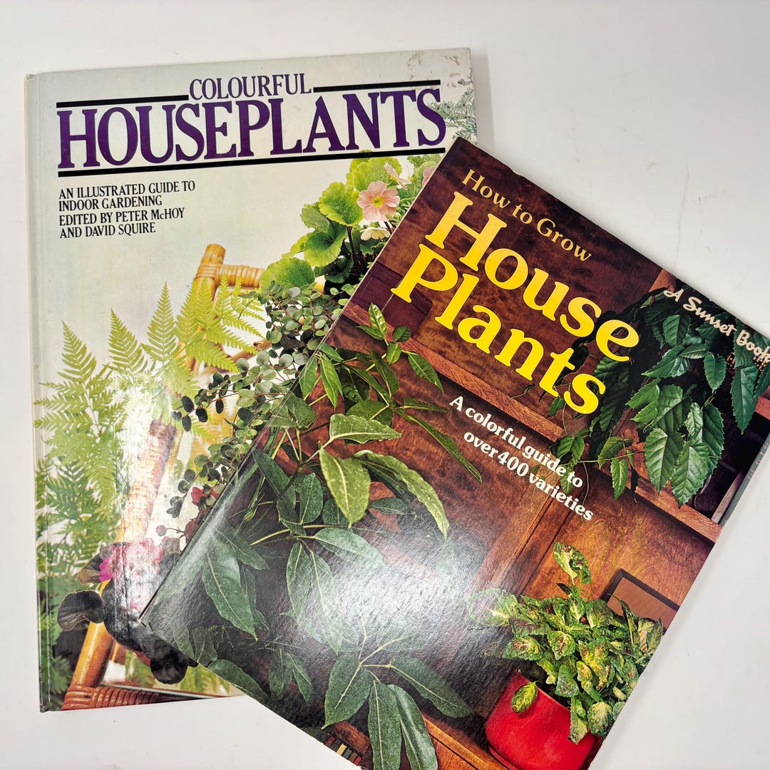 Pair Vintage House Plants Books/ Set 70s How to Grow Houseplants Books ...