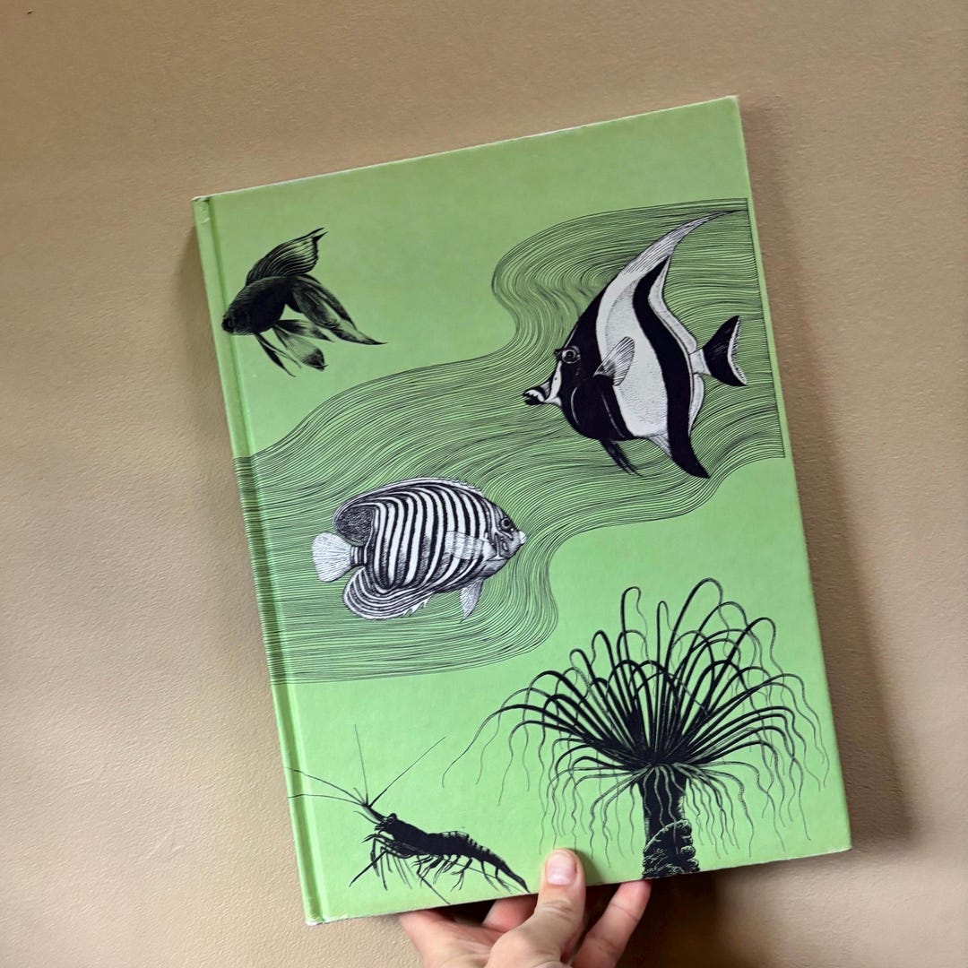 Vintage Tropical Fish Book / Vintage Coffee Table Book Tropical Fish ...