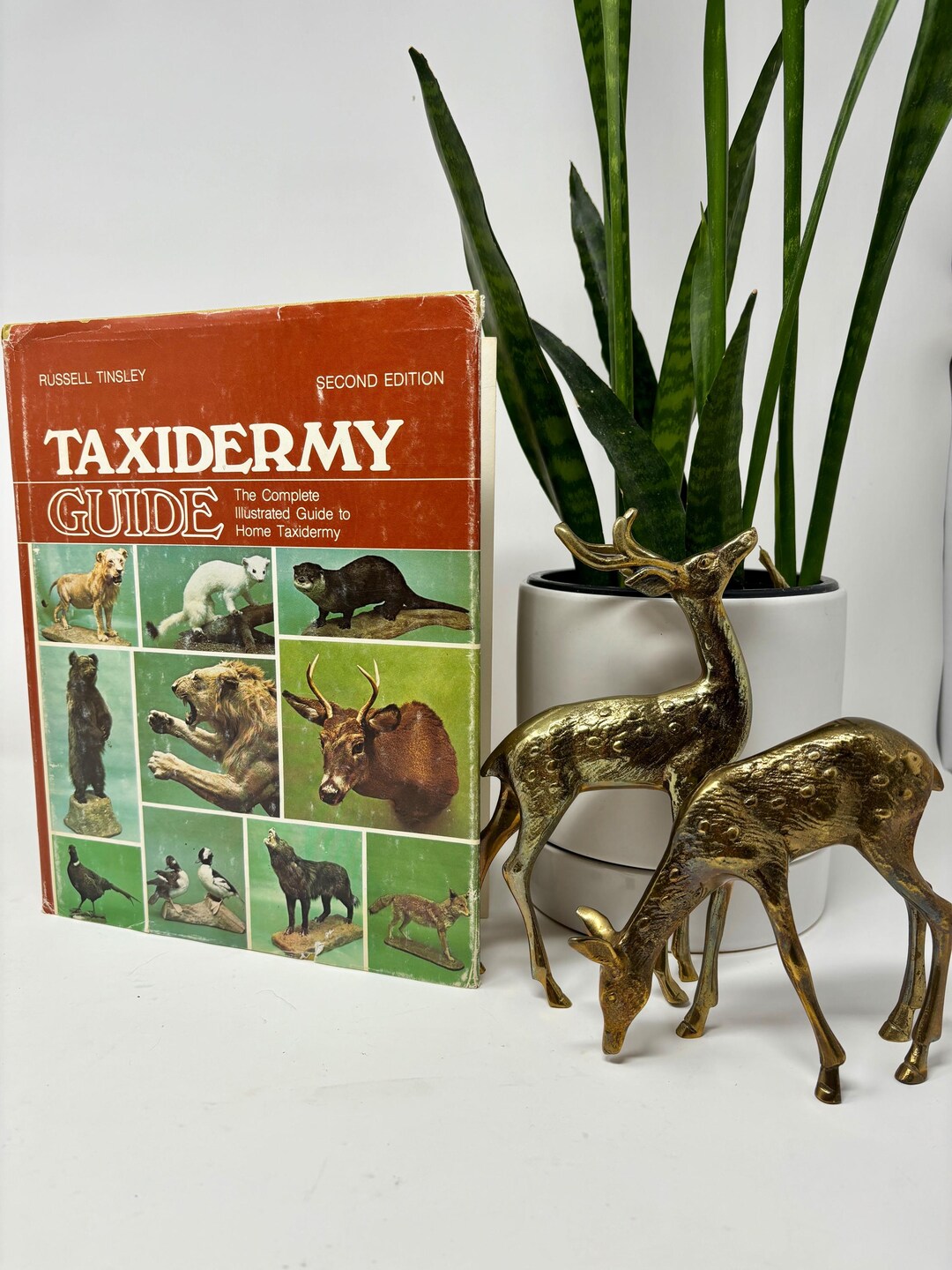 Vintage Taxidermy Guide Hardcover Book / Vtg Book at Home Taxidermy ...