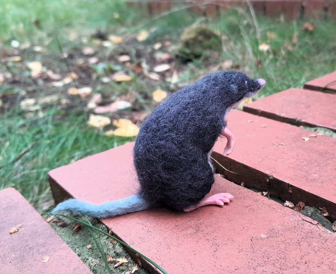 Water Shrew Soft Sculpture Needle Felted, Felt Animal, Figure Figurine ...