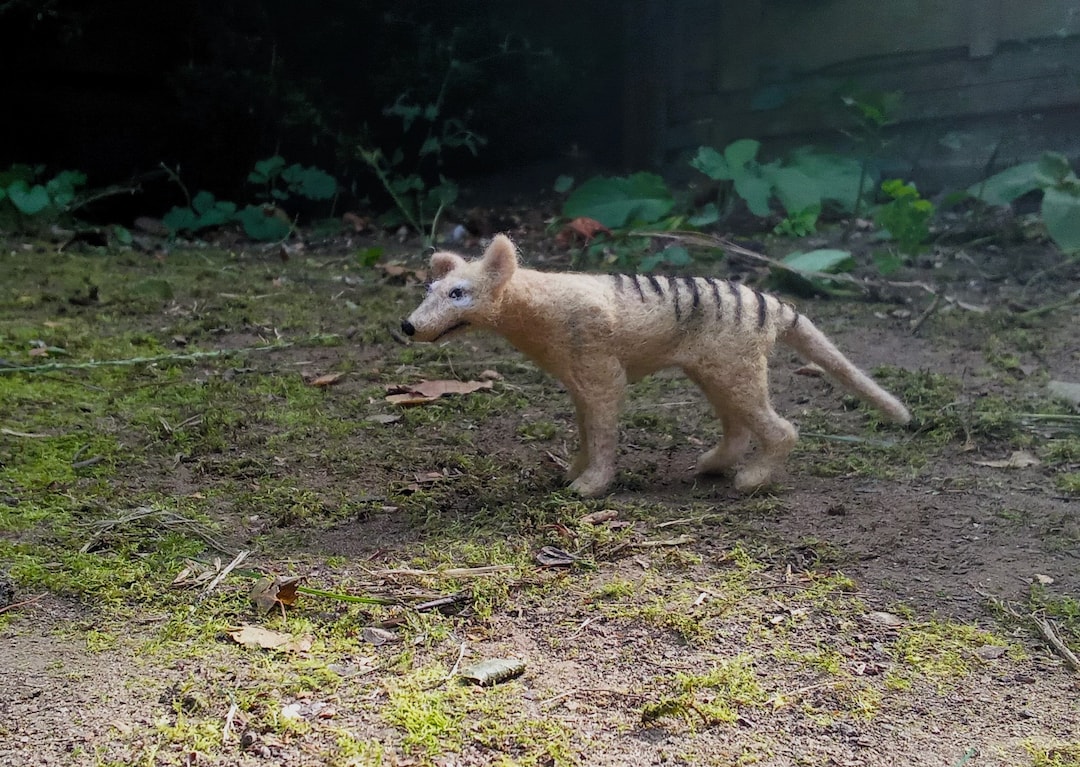 Thylacine Tasmanian Tiger Needle Felted Figure Soft Sculpture - Etsy