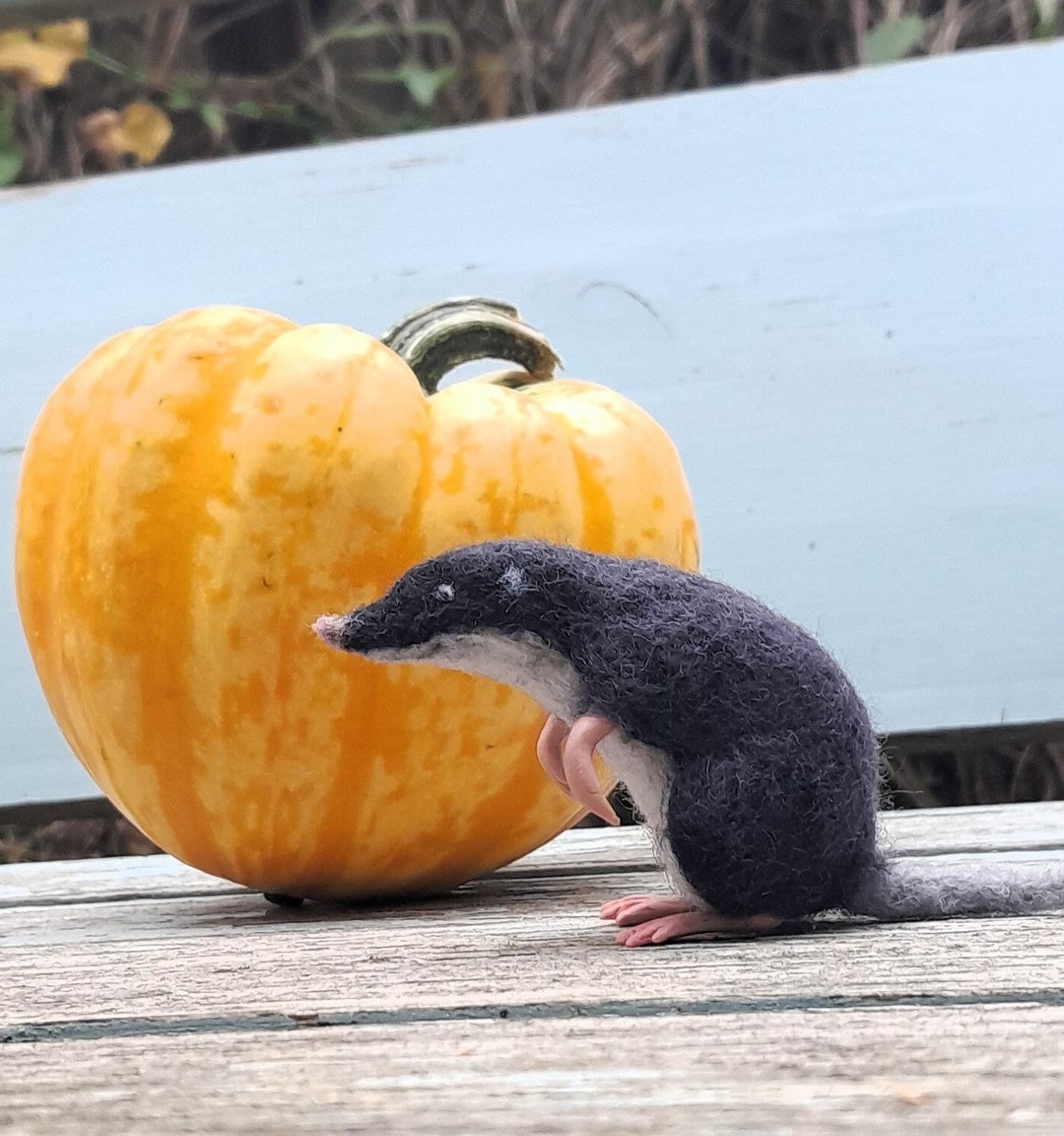 Water Shrew Soft Sculpture Needle Felted, Felt Animal, Figure Figurine ...