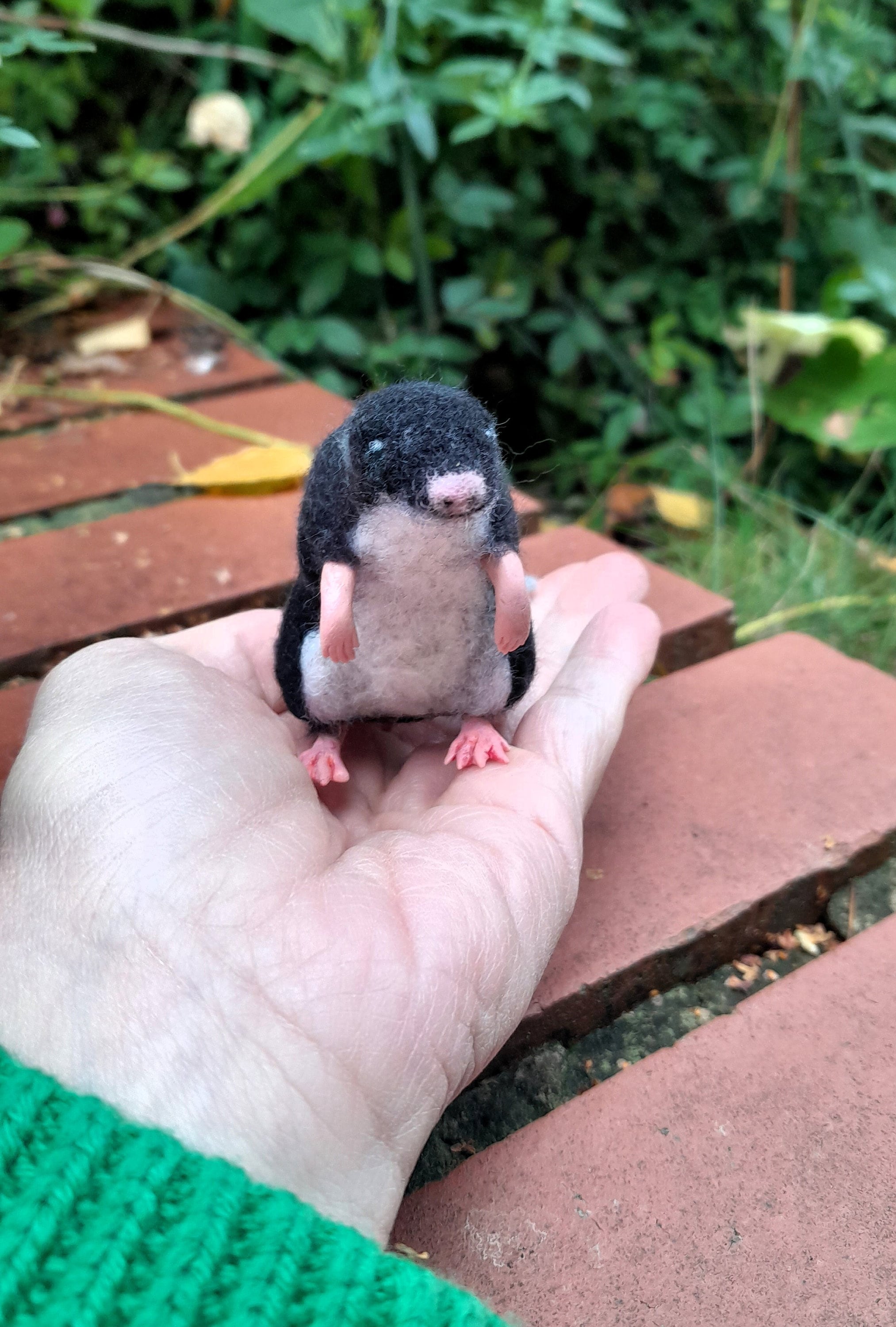 Water Shrew Soft Sculpture Needle Felted, Felt Animal, Figure Figurine ...