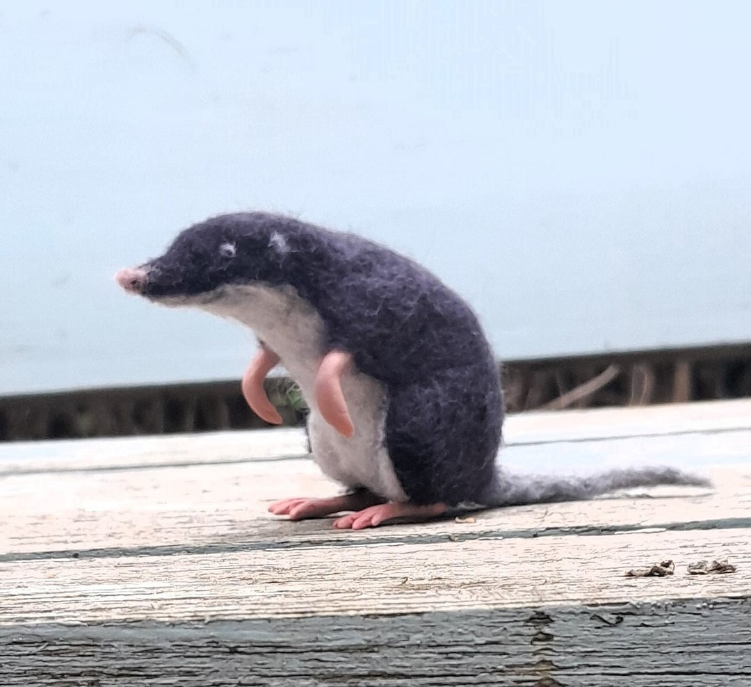 Water Shrew Soft Sculpture Needle Felted, Felt Animal, Figure Figurine ...