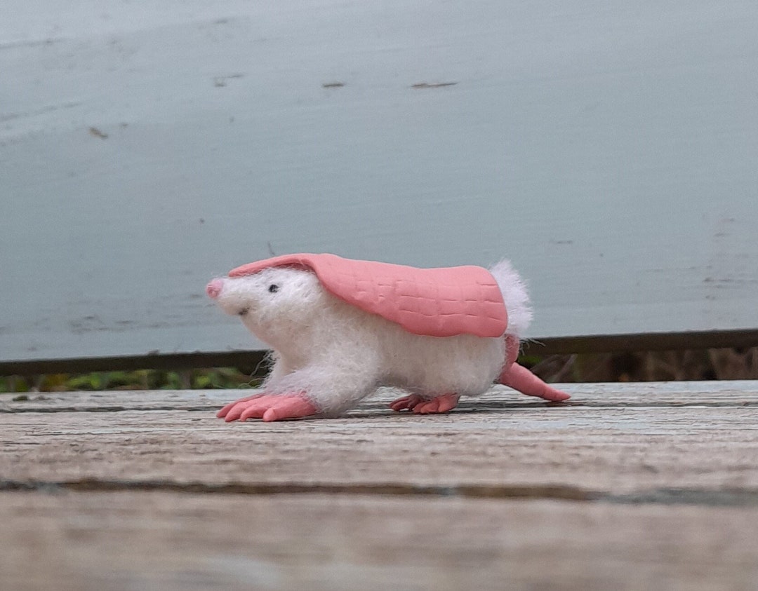 Felted Pink Fairy Armadillo Figurine: Handmade Soft Sculpture - Etsy