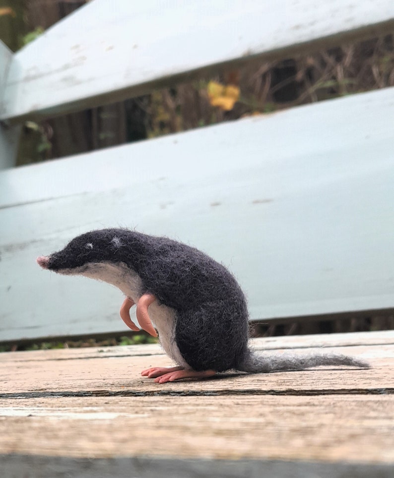Water Shrew Soft Sculpture Needle Felted, Felt Animal, Figure Figurine ...