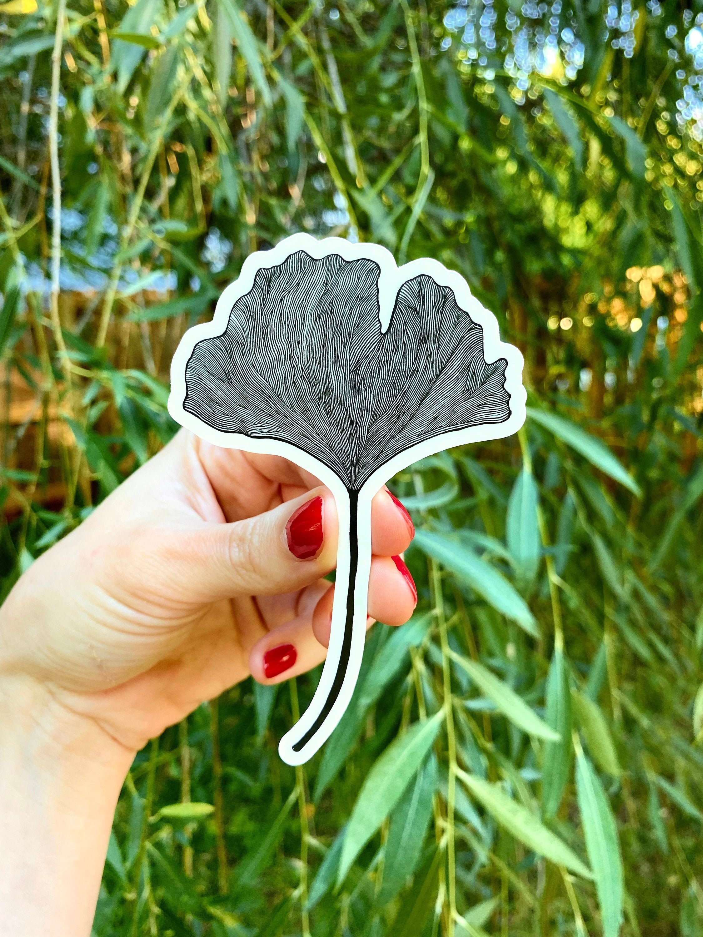 Ginkgo Leaf Clear Sticker Vinyl Matte Waterproof Plant | Etsy