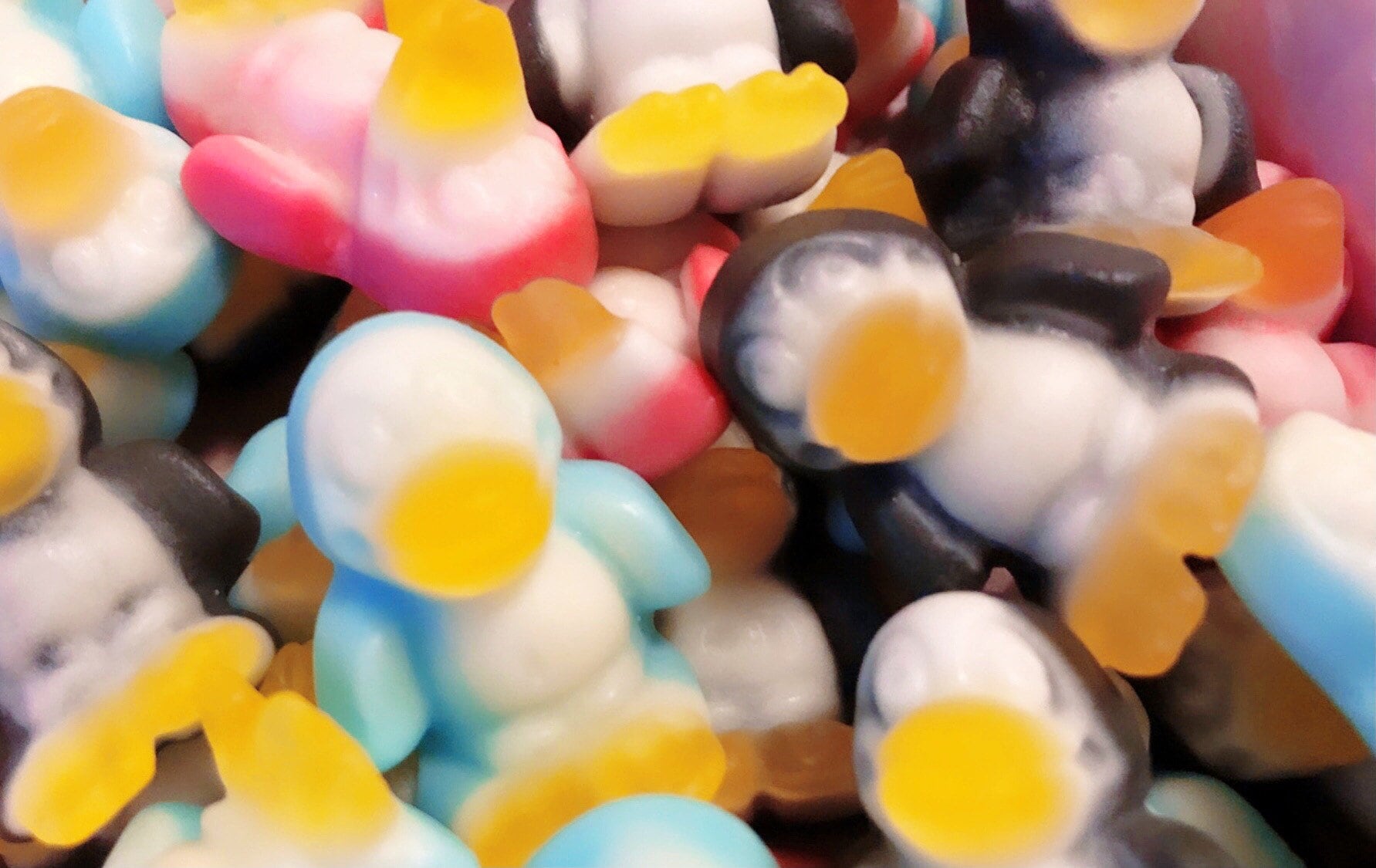 Trolli Penguins Sweet Gift Box - Etsy UK