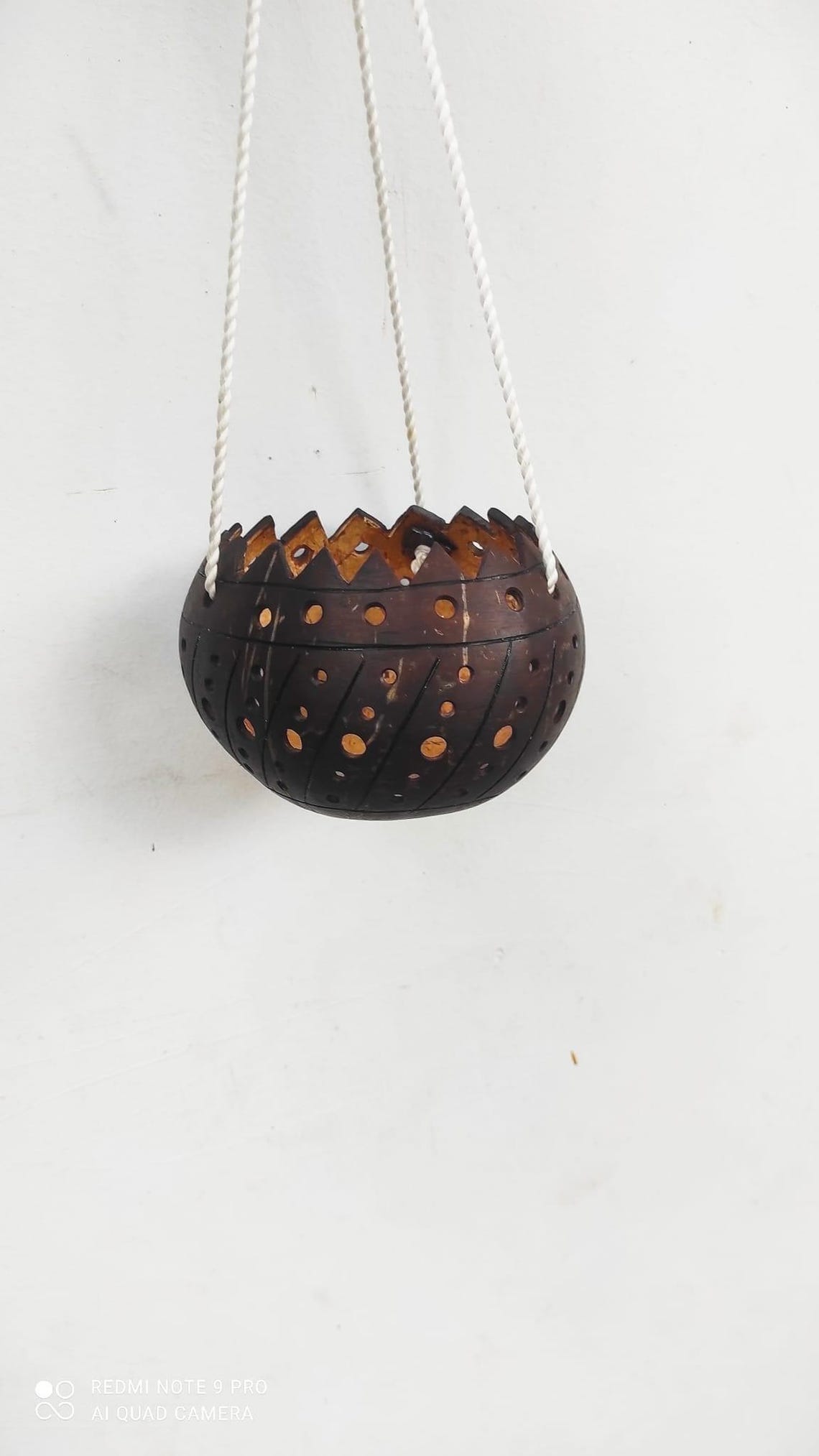BUY 3 Get 1 Free Coconut Shell Planter, Natural Eco-friendly Plant Pot ...