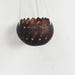 BUY 3 Get 1 Free Coconut Shell Planter, Natural Eco-friendly Plant Pot ...