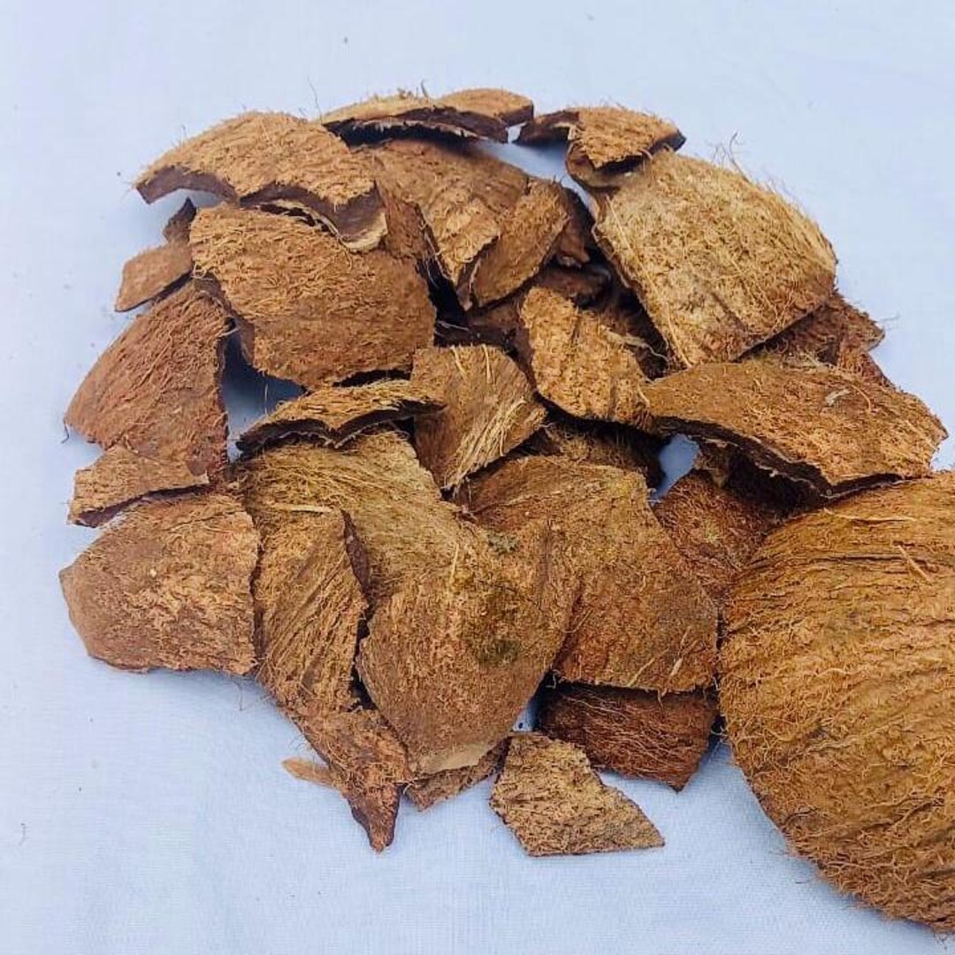 Natural Coconut Shell Chips, Small Coconut Shell Pieces, Natural ...