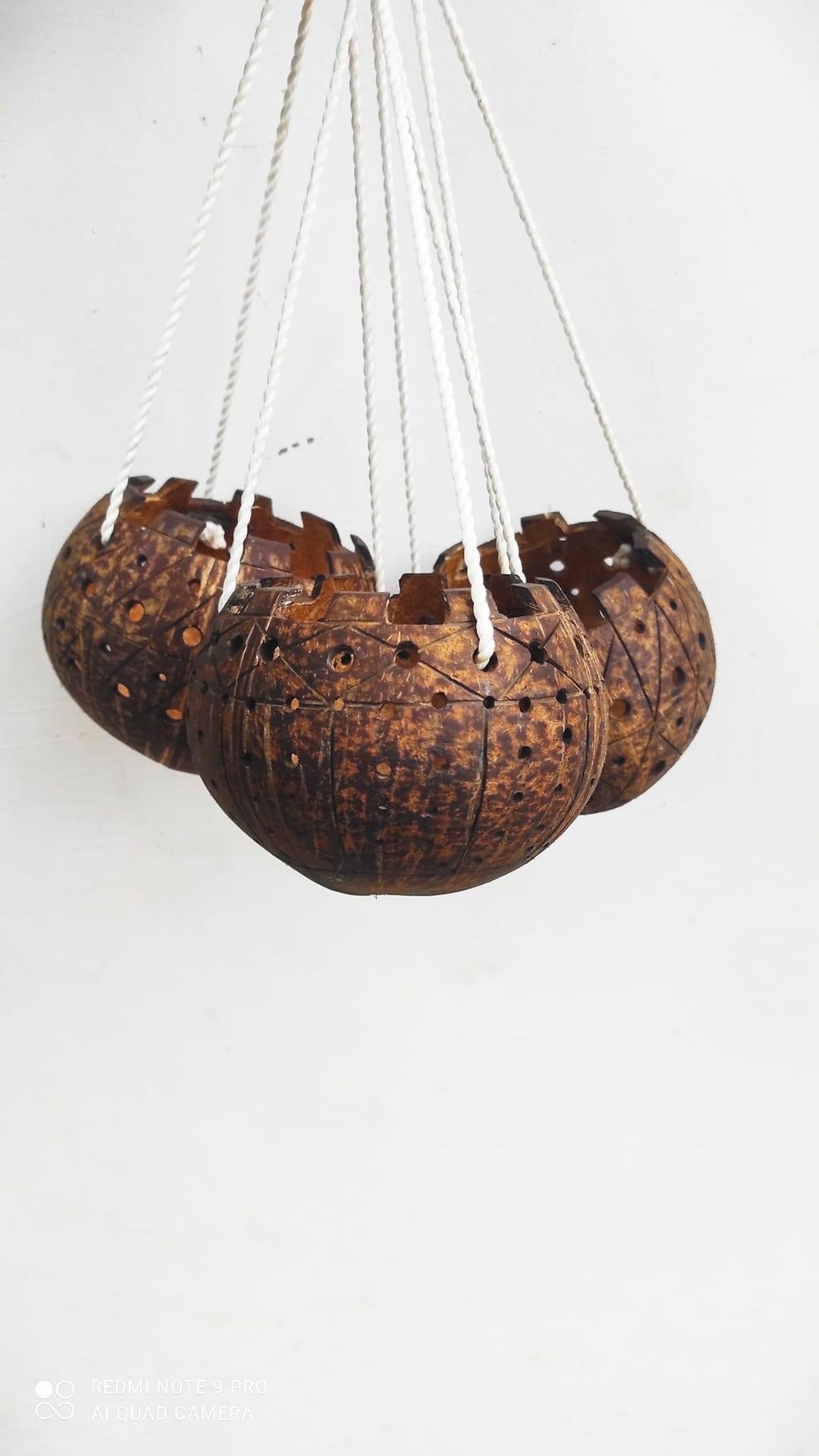 Eco All Natural Hand Sanded Coconut Shell Planter Coconut Shell Planter ...