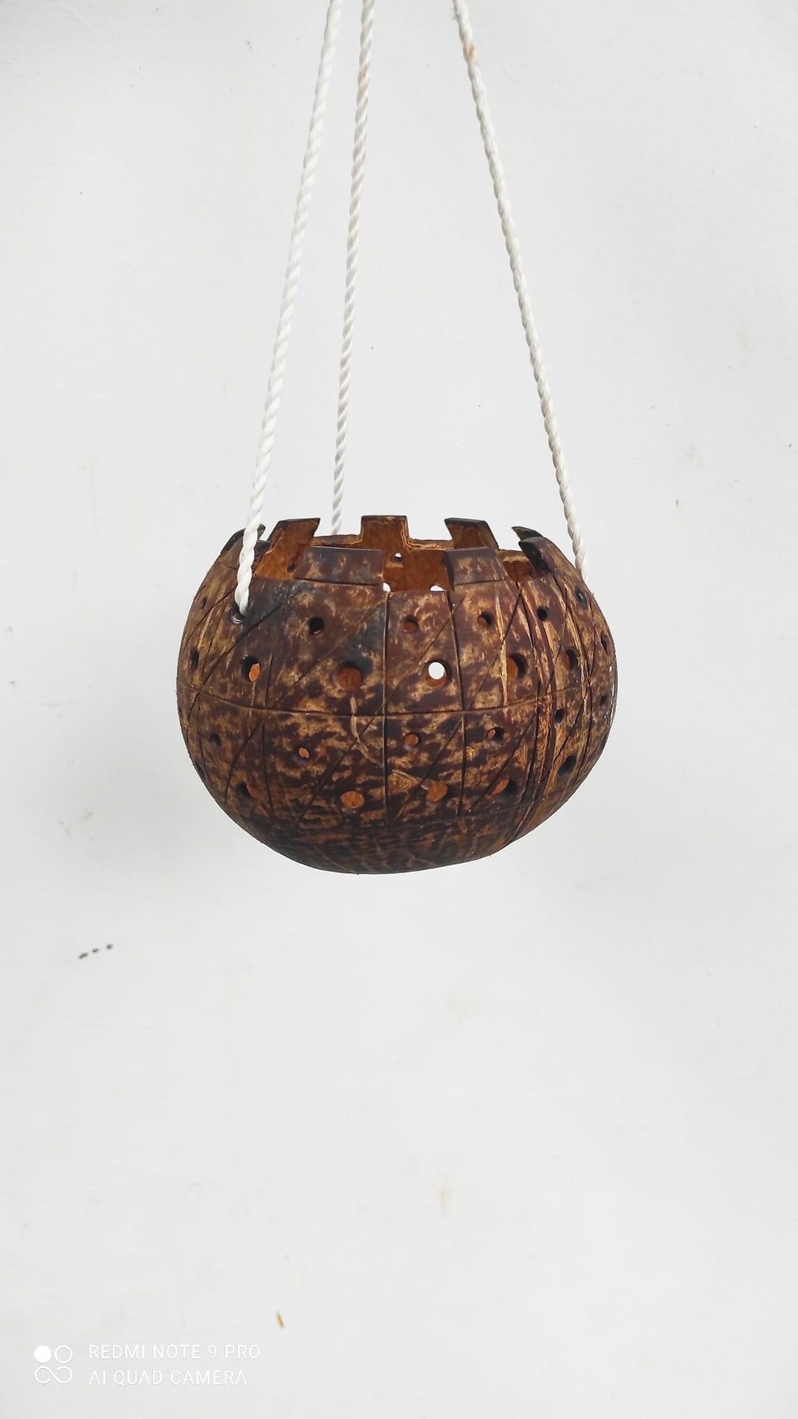 BUY 3 Get 1 Free Coconut Shell Planter, Natural Eco-friendly Plant Pot ...