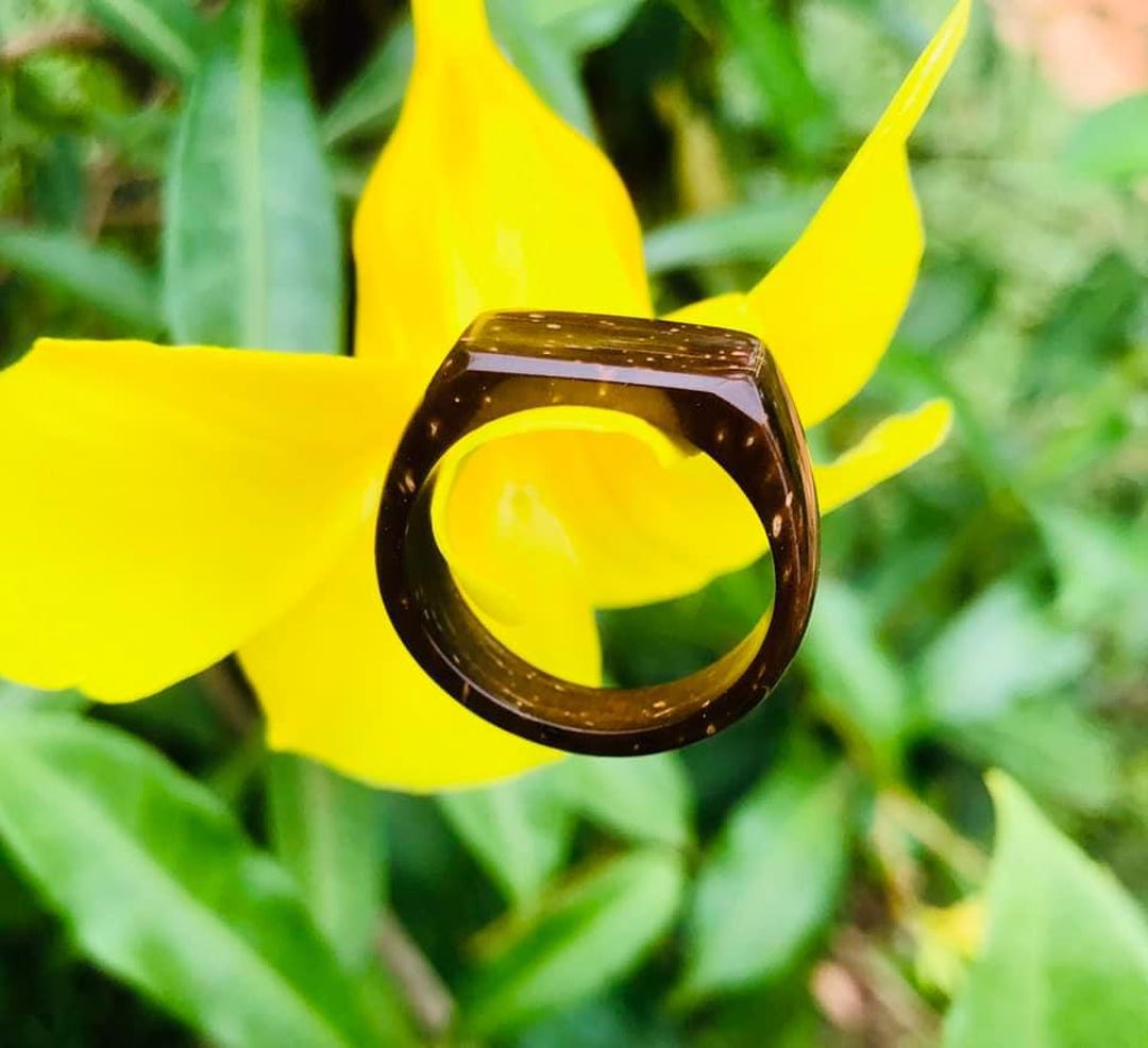 Coconut Shell Ring - Wooden Ring - Engagement Ring - Men's Ring - Brown and Black - Classic ...