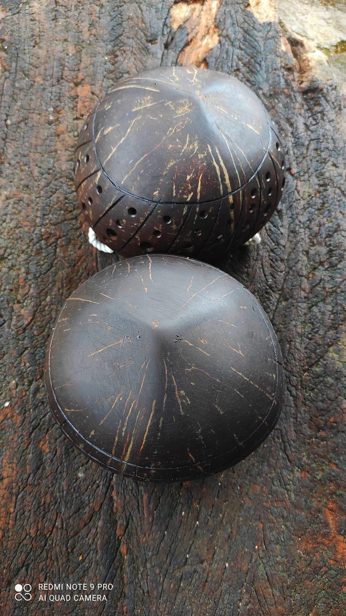 BUY 3 Get 1 Free Coconut Shell Planter, Natural Eco-friendly Plant Pot ...