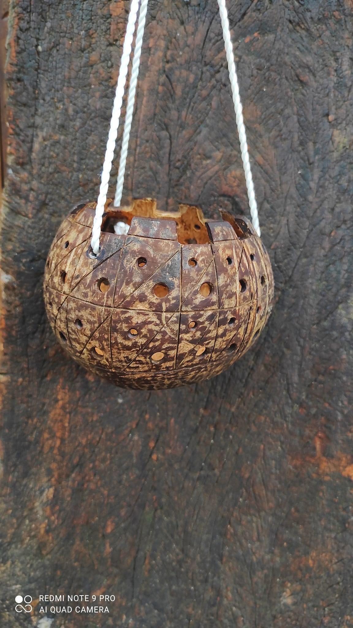 BUY 3 Get 1 Free Coconut Shell Planter, Natural Eco-friendly Plant Pot ...