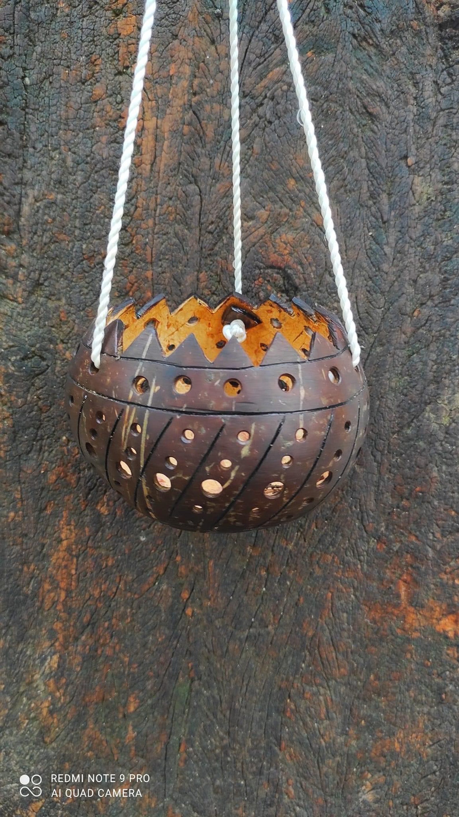 BUY 3 Get 1 Free Coconut Shell Planter, Natural Eco-friendly Plant Pot ...