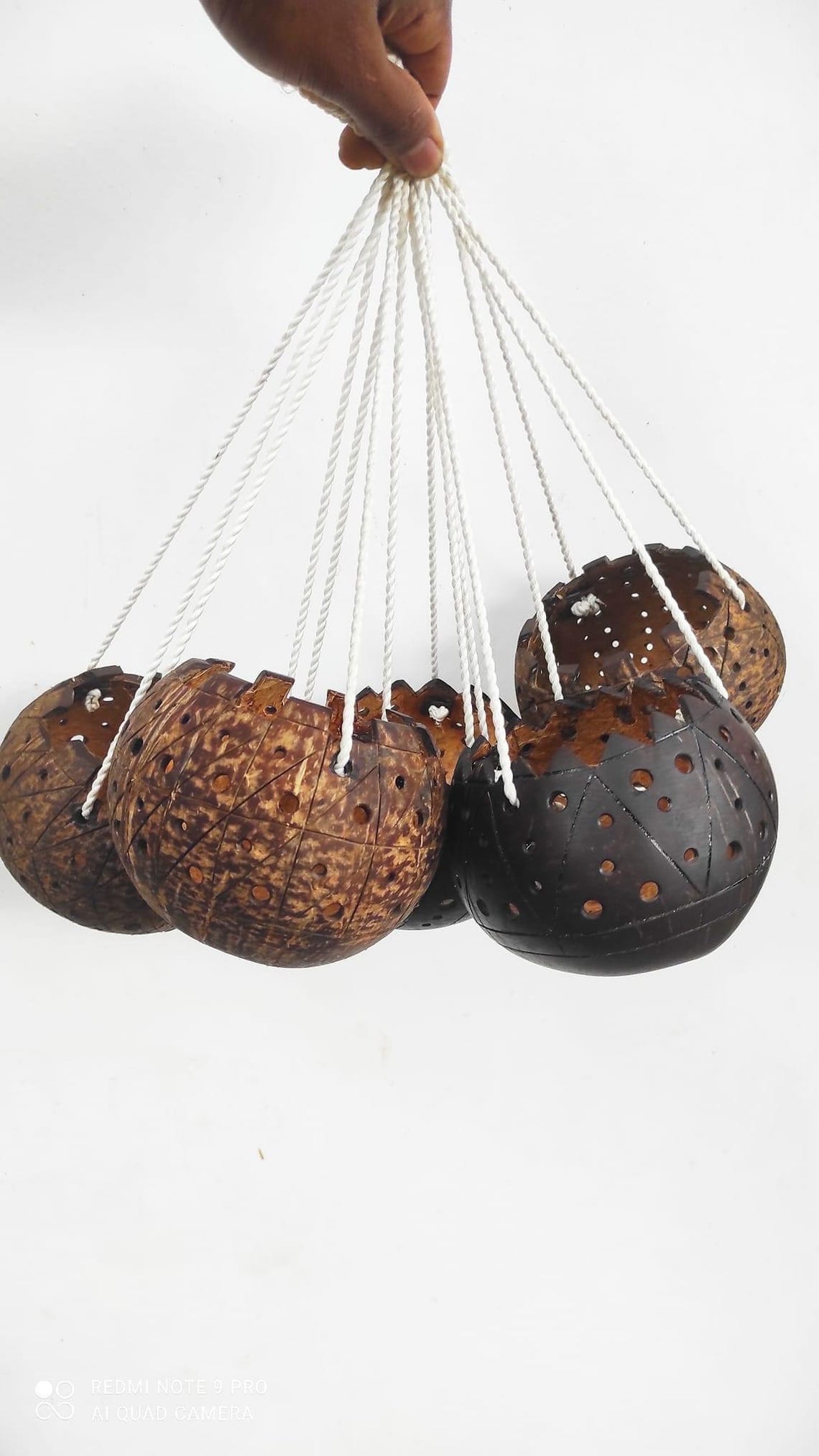 BUY 3 Get 1 Free Coconut Shell Planter, Natural Eco-friendly Plant Pot ...