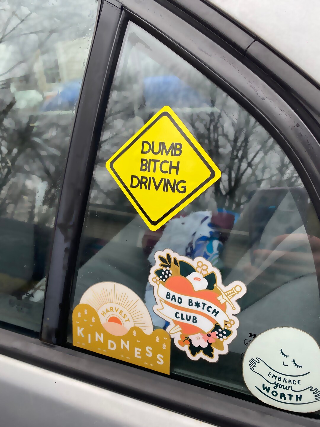Dumb Bitch Driving Hazard Sign Vinyl Decal Sticker - Etsy