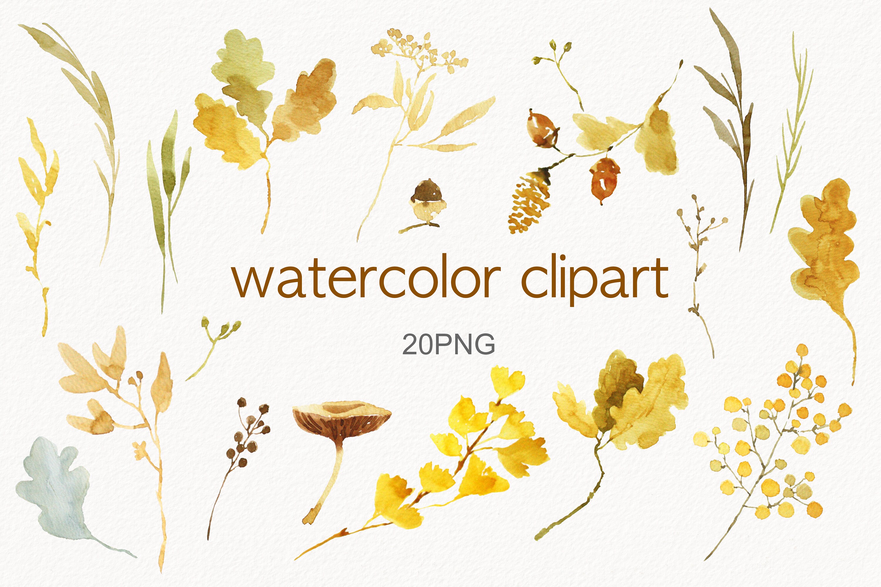 Watercolor Autumn Leaves Clip Art, Fall Frames, Autumn Botanical ...