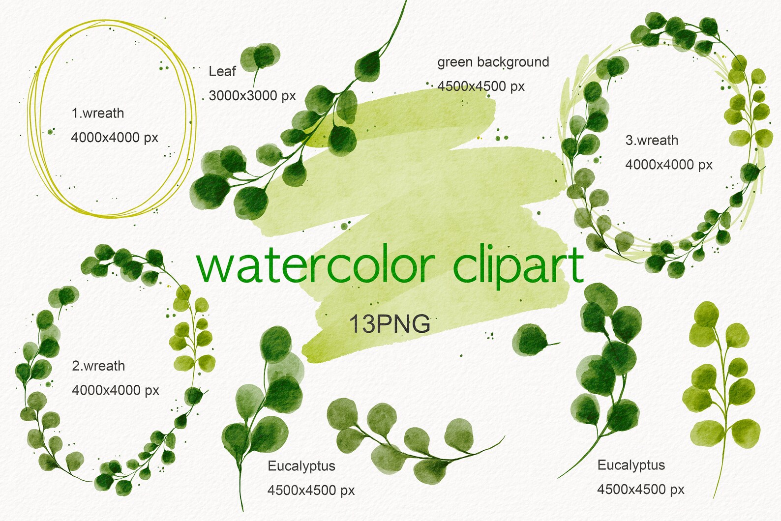 Eucalyptus Watercolor,greenery Clipart,leaf Frame, Leaves Wreath ...
