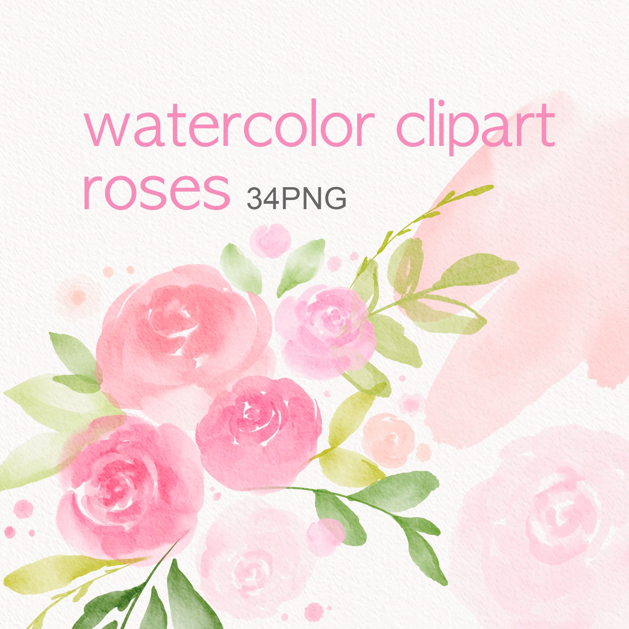 Pink Rose Clipart, Watercolor Flowers,watercolor Floral Clipart, Pink ...