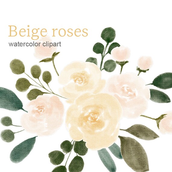 Rose Clipartbeige Cream Light Creamy Watercolor Floral | Etsy