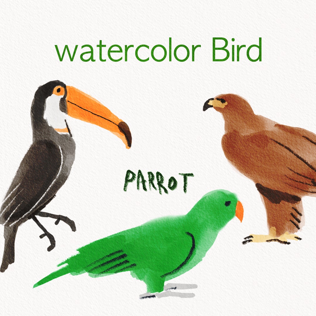 Parrot Watercolor Print, Bird Wall Art Decor, Watercolor Animals Print ...