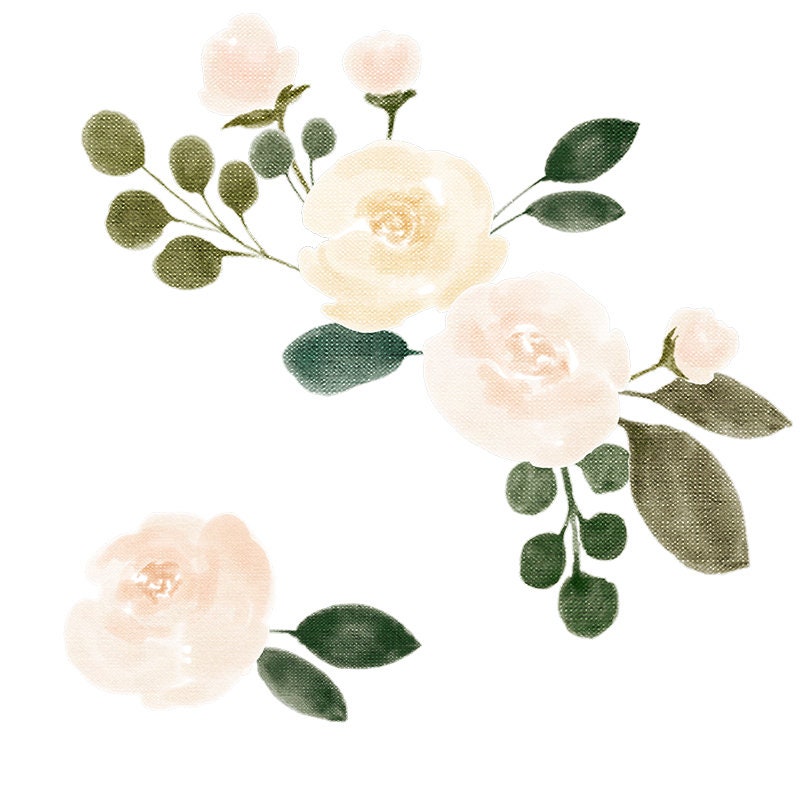 Rose Clipart,beige Cream Light Creamy Watercolor Floral Clipart, Pink ...