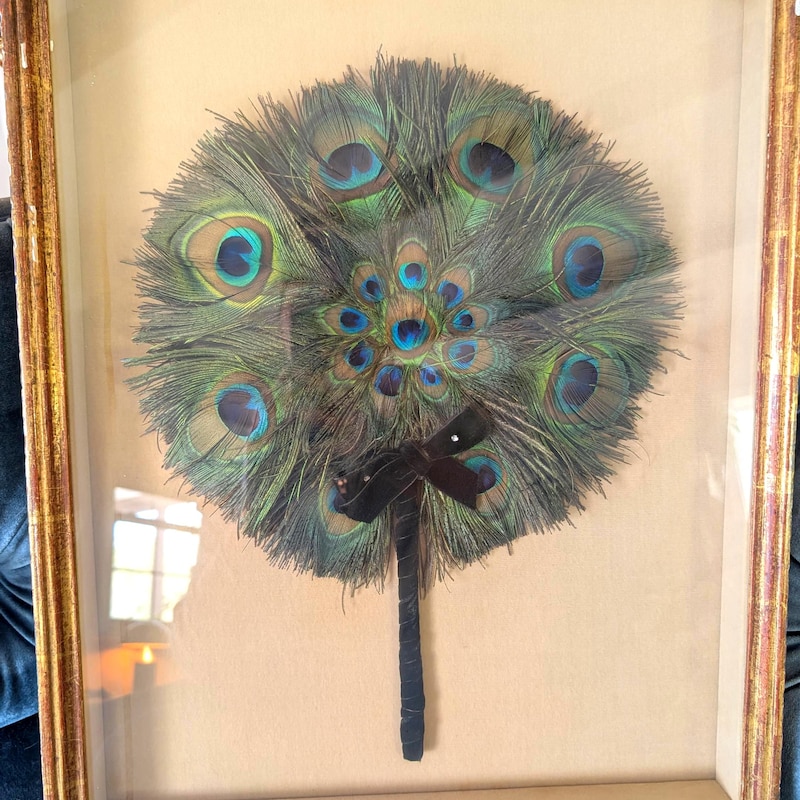 Peacock Feather Fan - Etsy