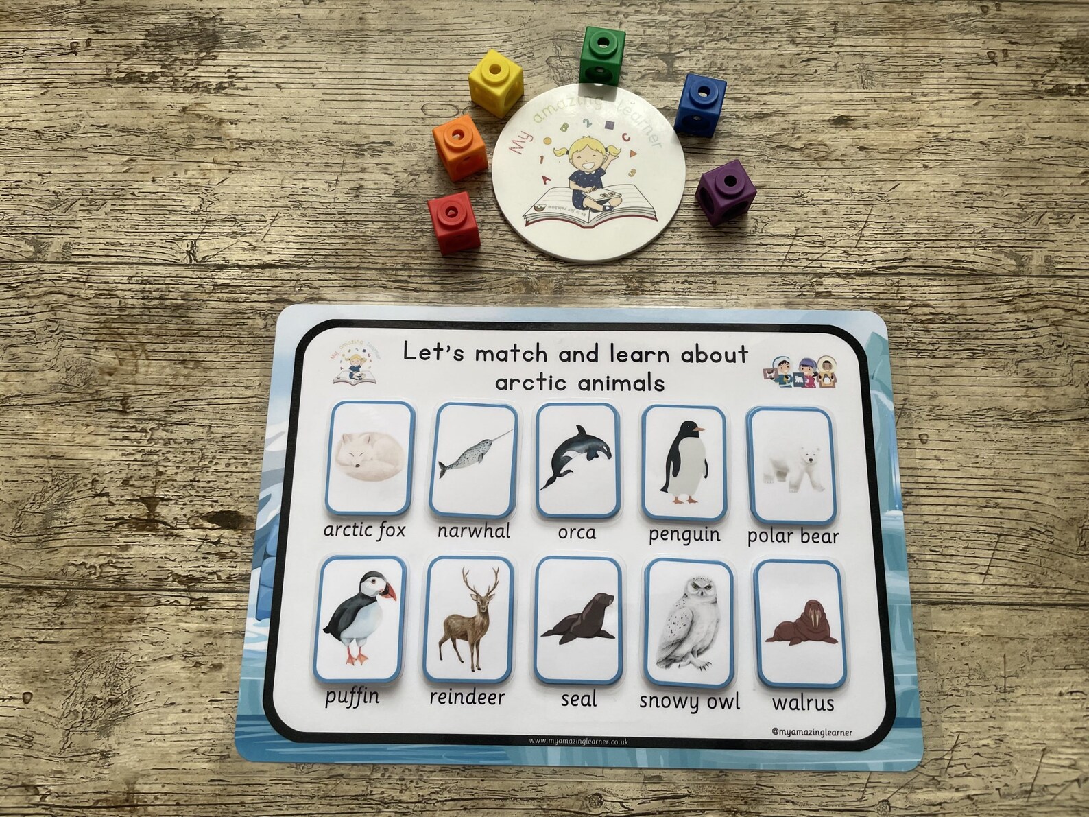 Arctic Animals Velcro Activity Mat - Etsy UK