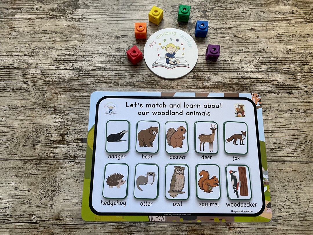 Woodland Animals Velcro Activity Mat - Etsy