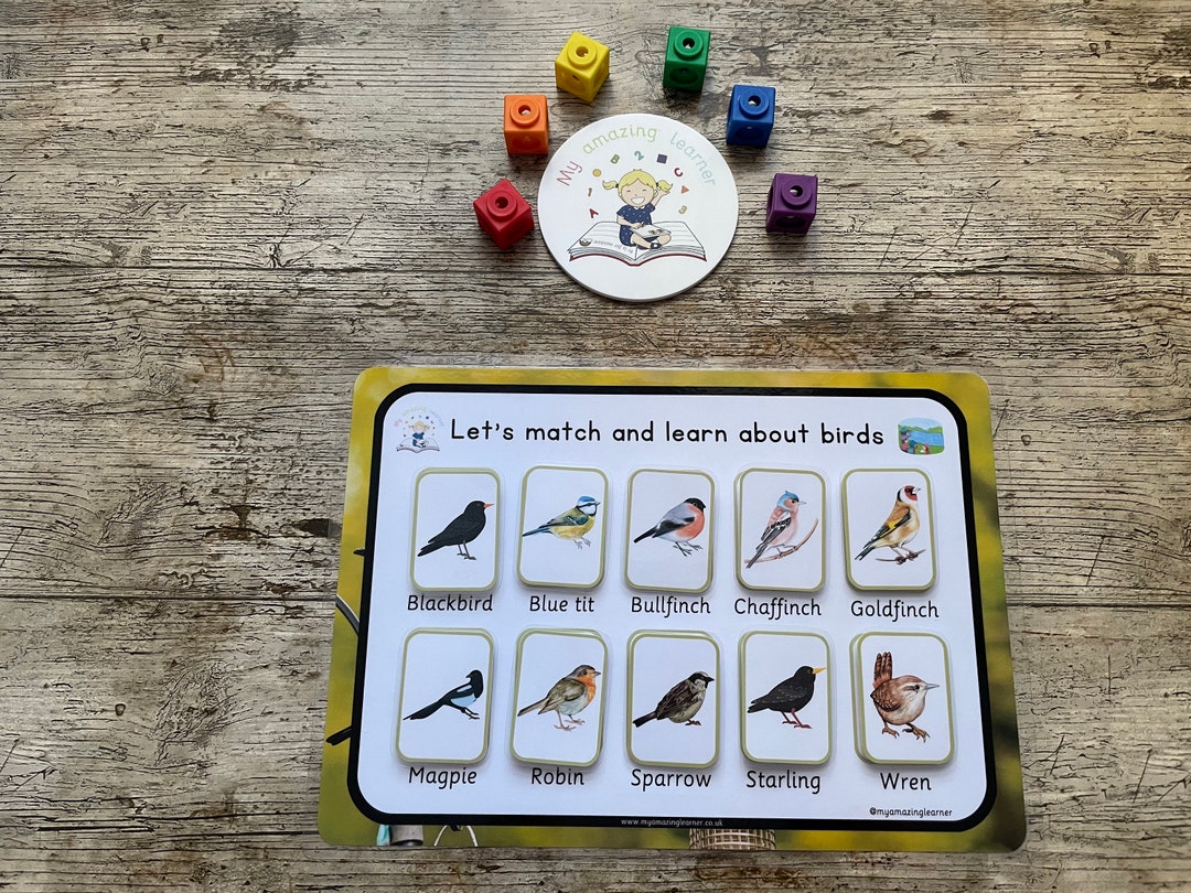 Garden Birds Velcro Activity Mat - Etsy