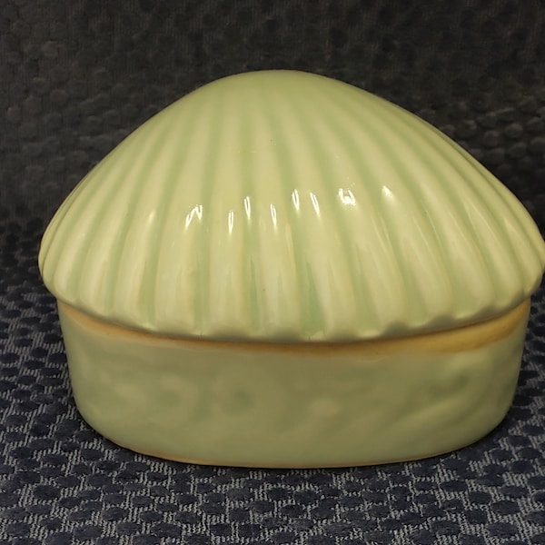 Shell Box - Etsy