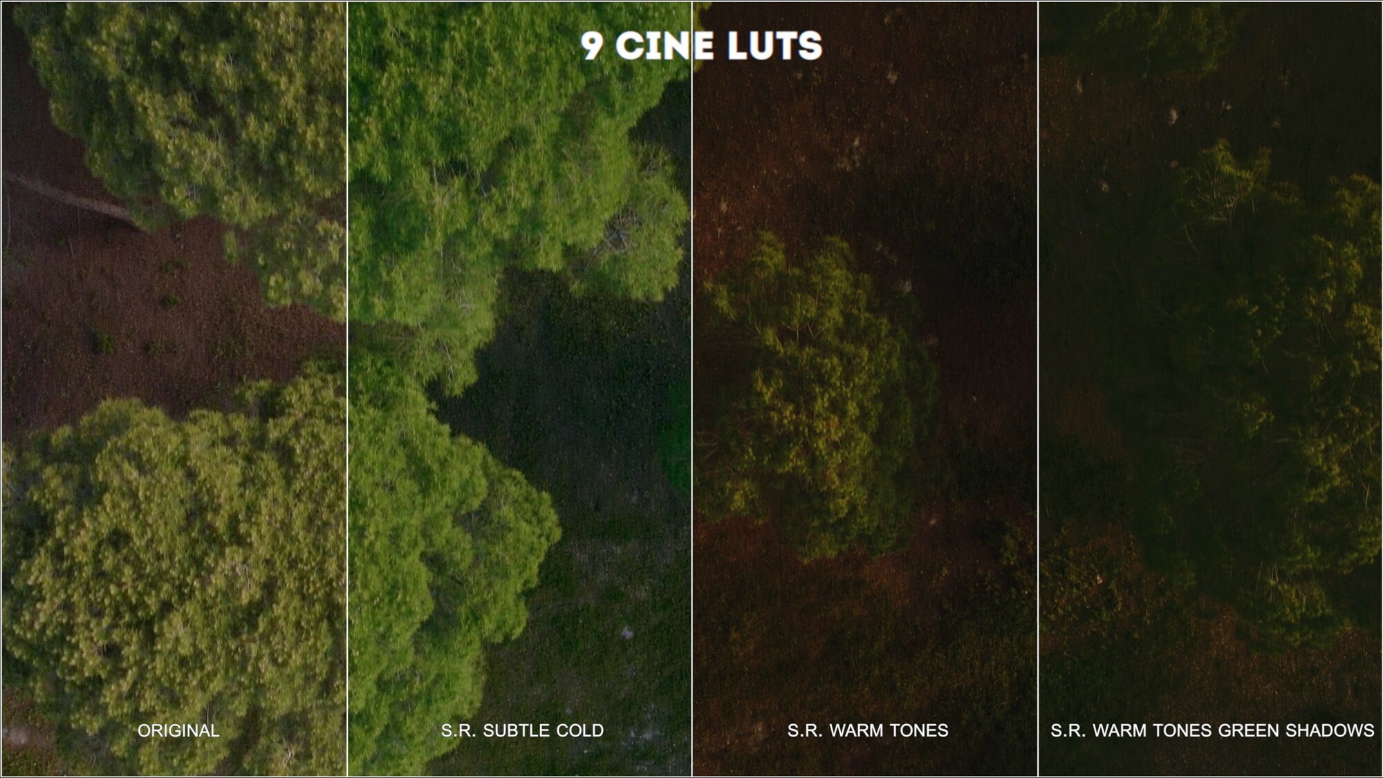 DJI Mini 3 / Mini 2 / Mini Luts - Full Pack - Etsy