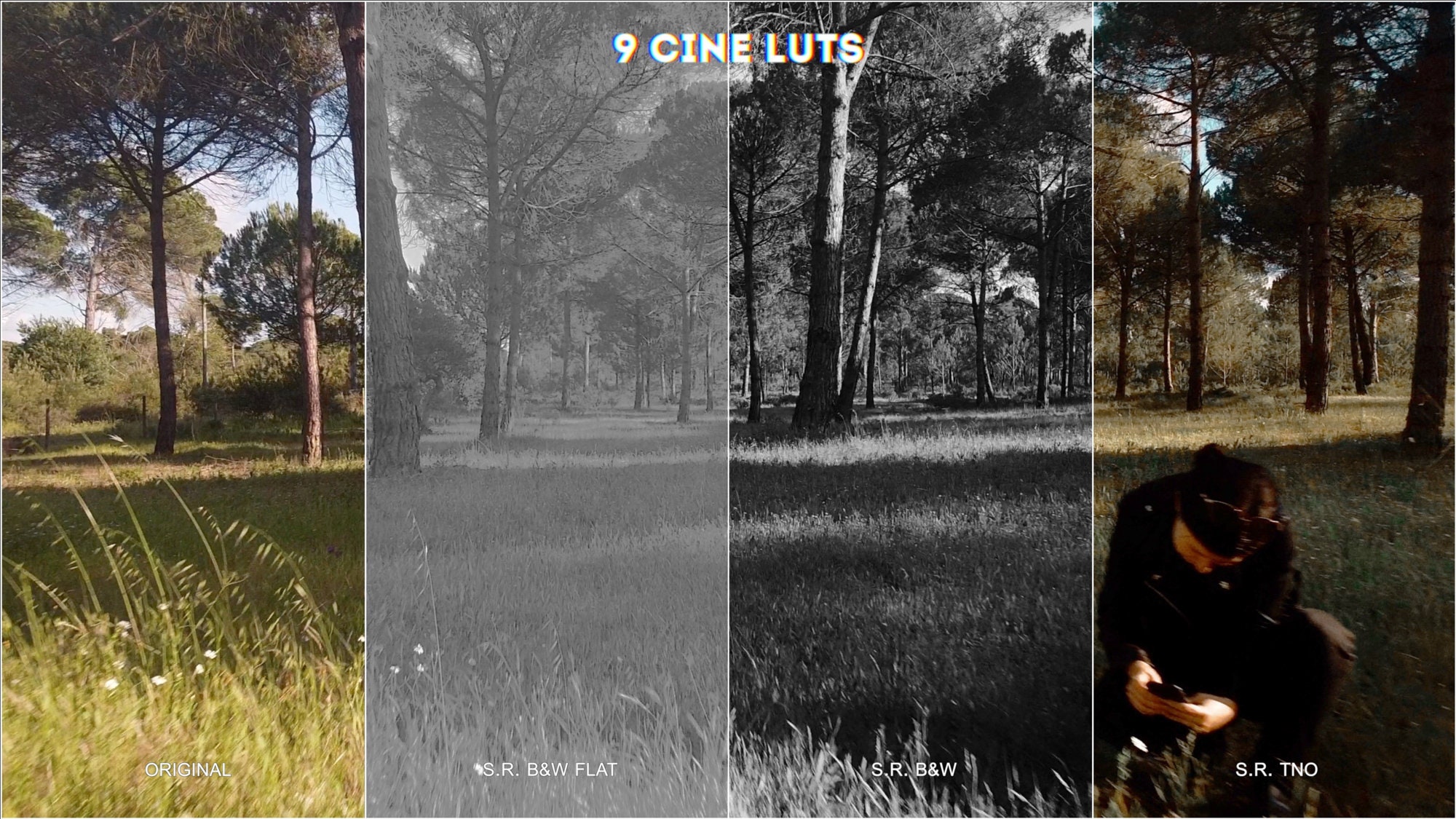 DJI Mini 3 / Mini 2 / Mini Luts - Full Pack - Etsy