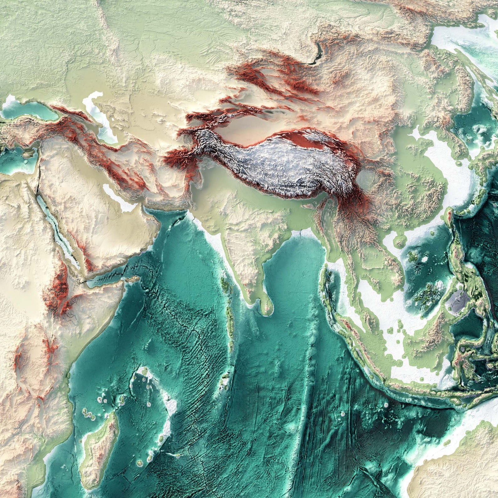 World Bathymetric Elevation Map (geo) - 2D Poster Shaded Relief Map ...