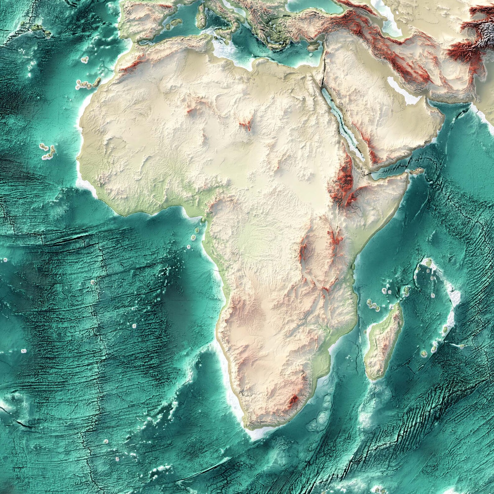 World Bathymetric Elevation Map (geo) - 2D Poster Shaded Relief Map ...