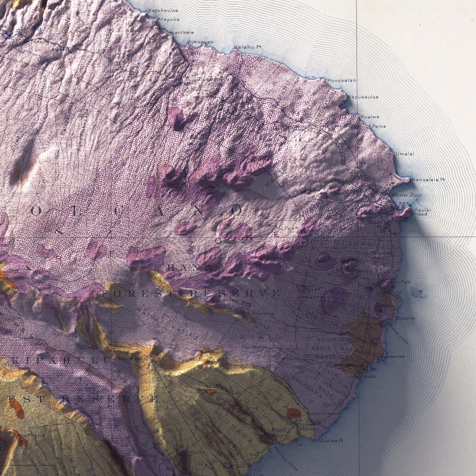 Maui (hawaii, USA) 1942 Geological Map: Vintage Flat Shaded Relief ...